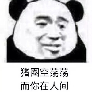 比例比你比例 