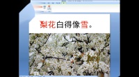 修辞手法-比喻句