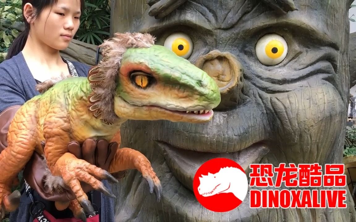 带羽毛的迅猛龙道具 - 手操控仿真小恐龙玩偶