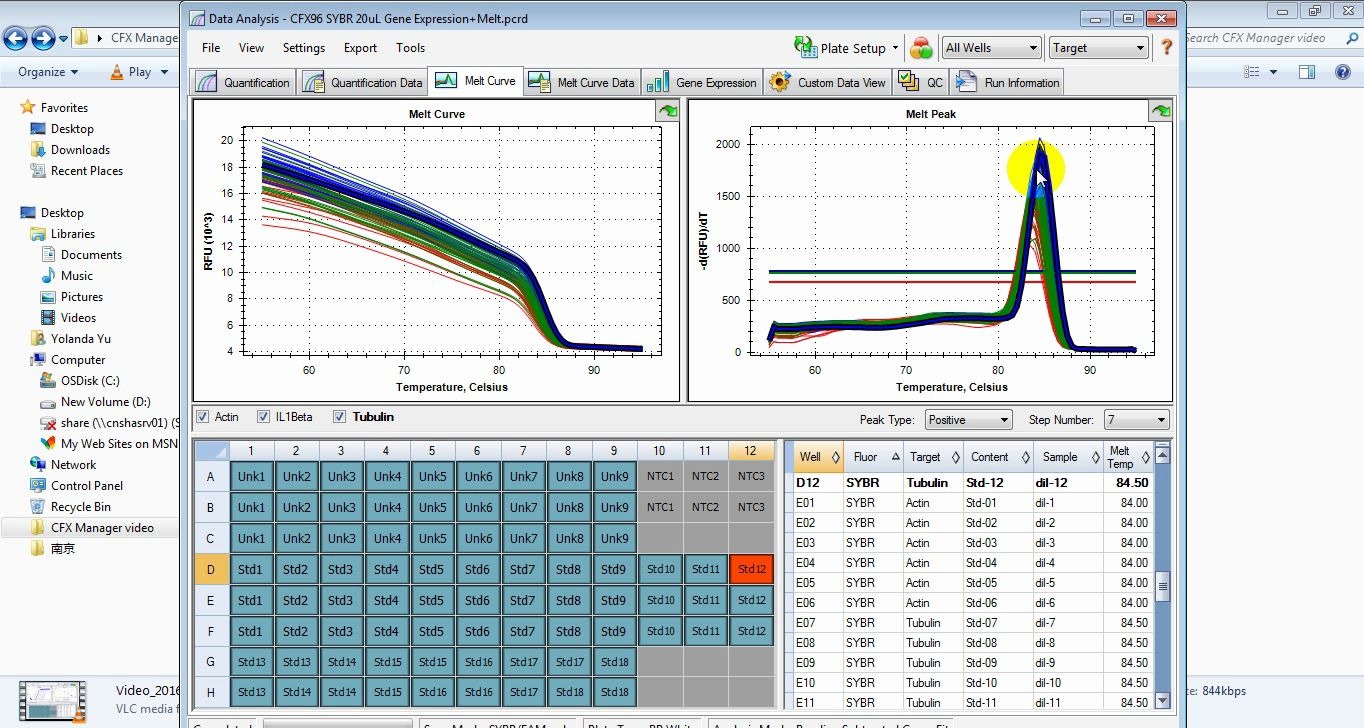 Bio-rad 分析qPCR Video6.3