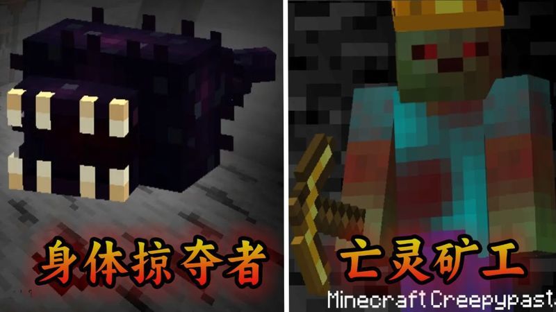 我的世界:关于MC的两个奇怪实体