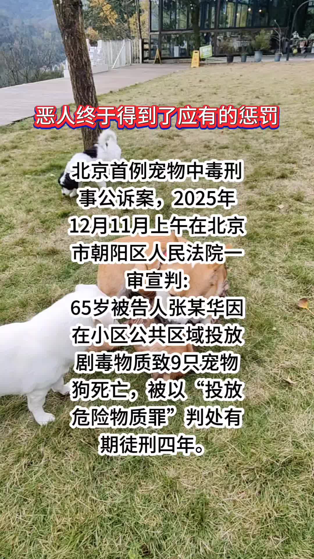 #真实故事 一直在关注着的案例终于有了结果,谢谢papi妈妈的坚持,你...