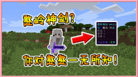 我的世界模组:来自混沌的憨岭神剑!你对憨憨的力量一无所知!