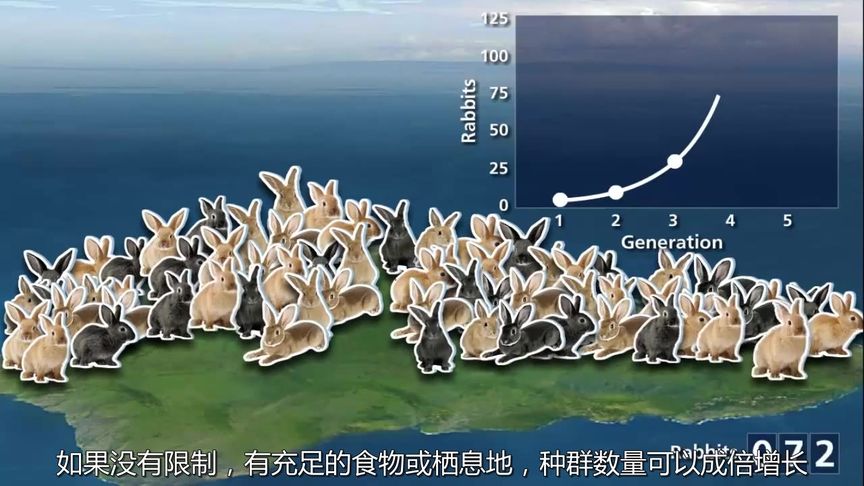 「2.5D演示」种群数量的变化