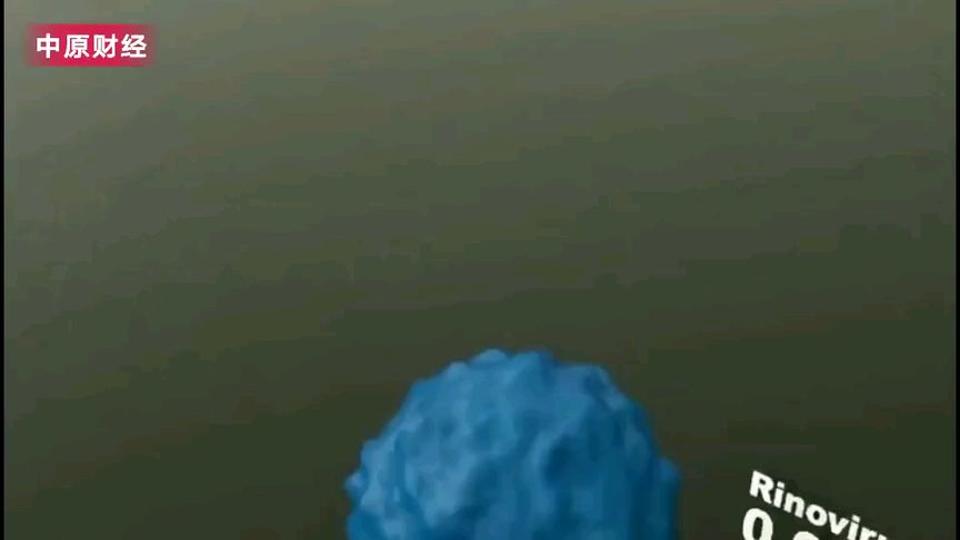 让我们一起来了解一下:什么是病毒、细菌和细胞。