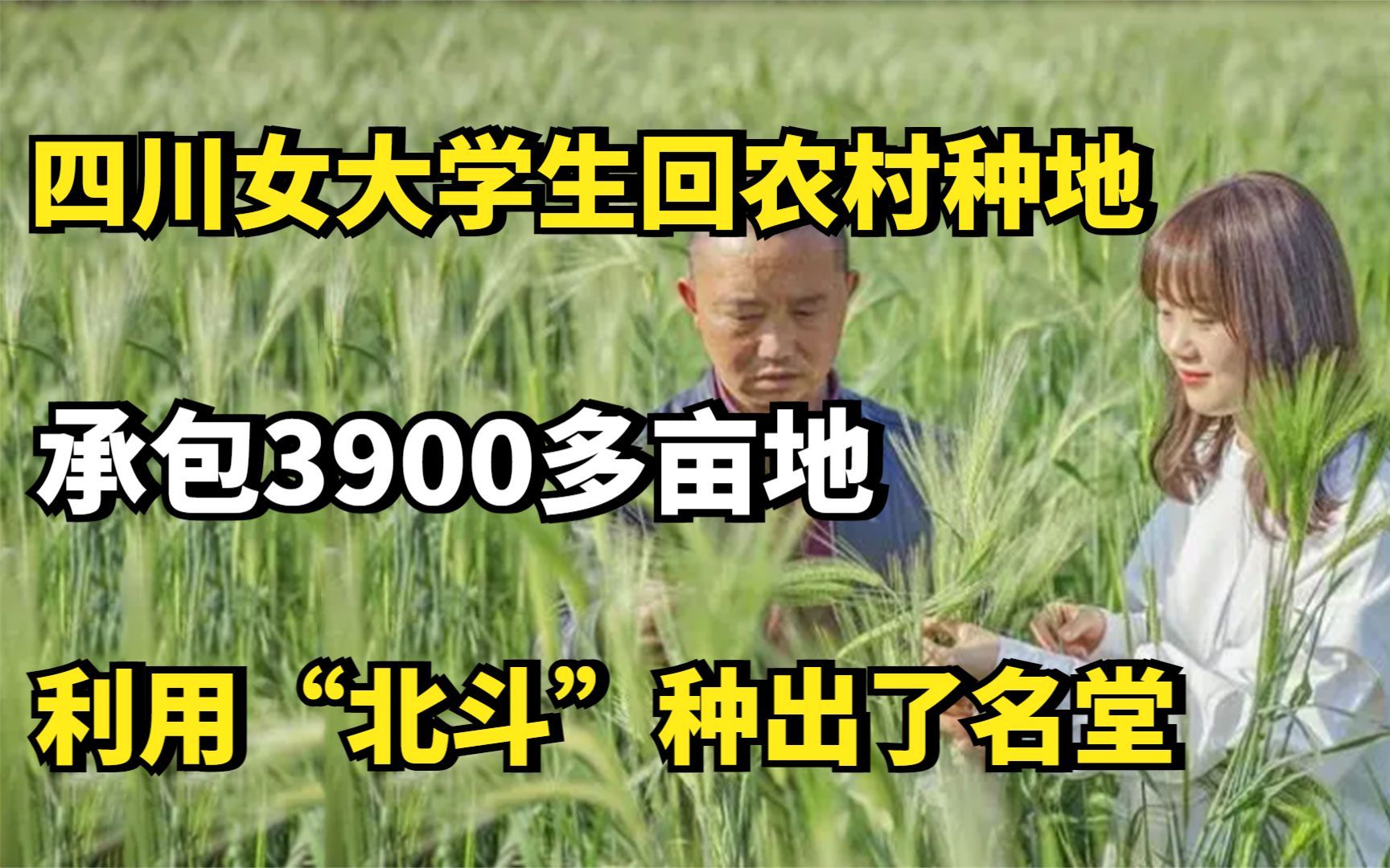 四川女大学生回农村种地,承包3900多亩地,利用“北斗”种出了名堂