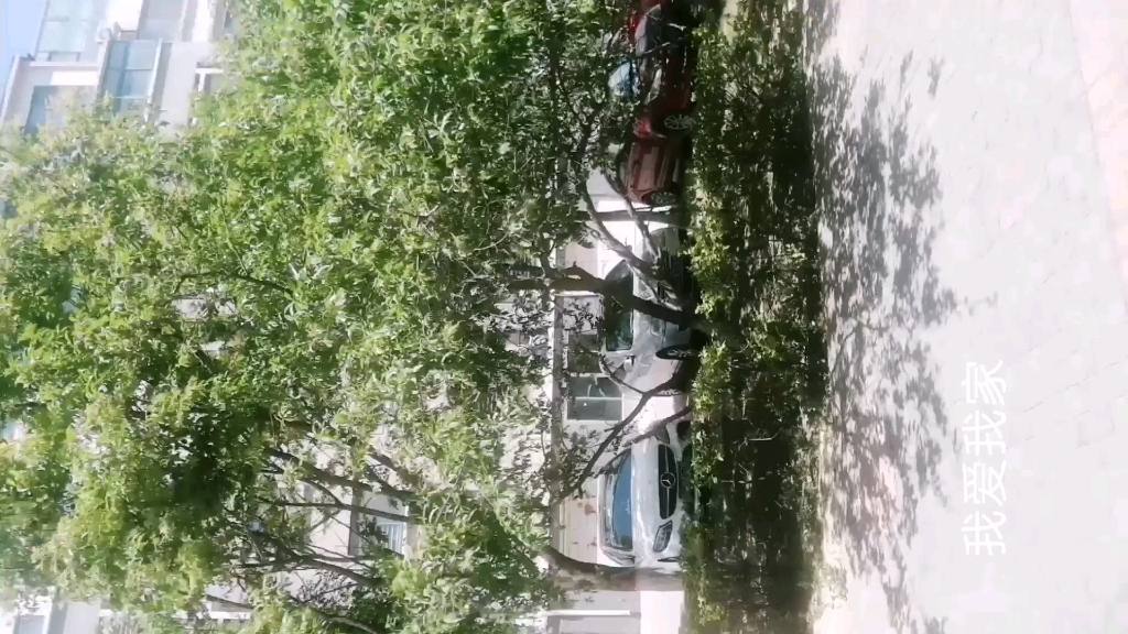 我的家