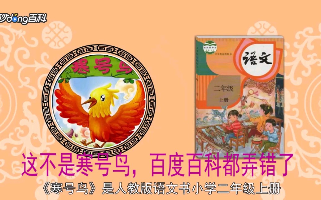 什么是寒号鸟，看完你会大吃一惊！