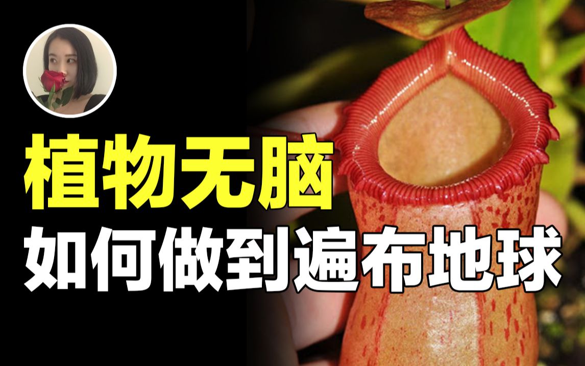 【植物】色诱捕猎吃肉样样都来!无脑却遍布地球!它才叫优势种
