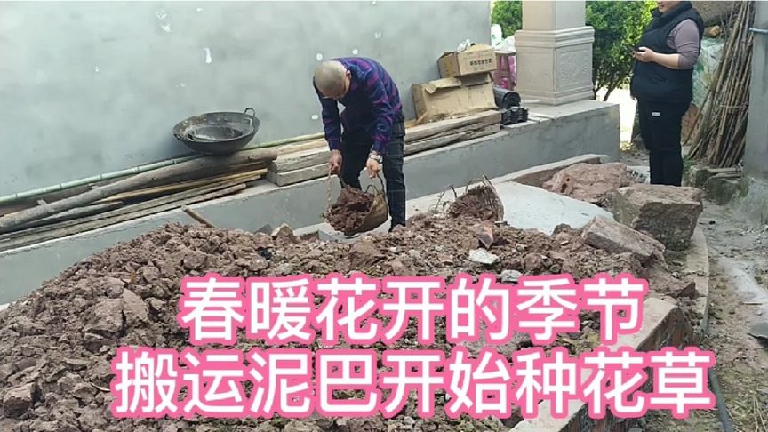 天气好,开始种植花草树木!