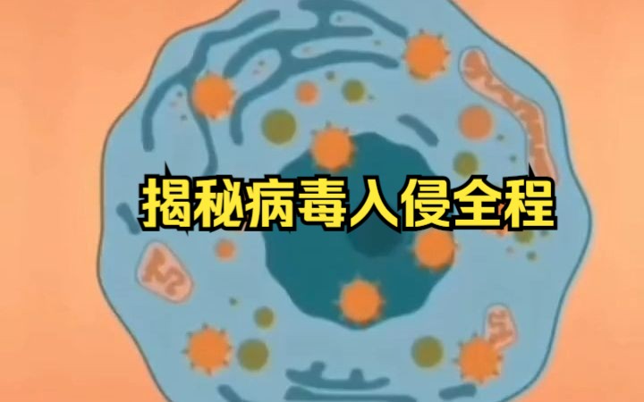 揭秘病毒进入人体的全过程,总算明白病毒为何那么凶了