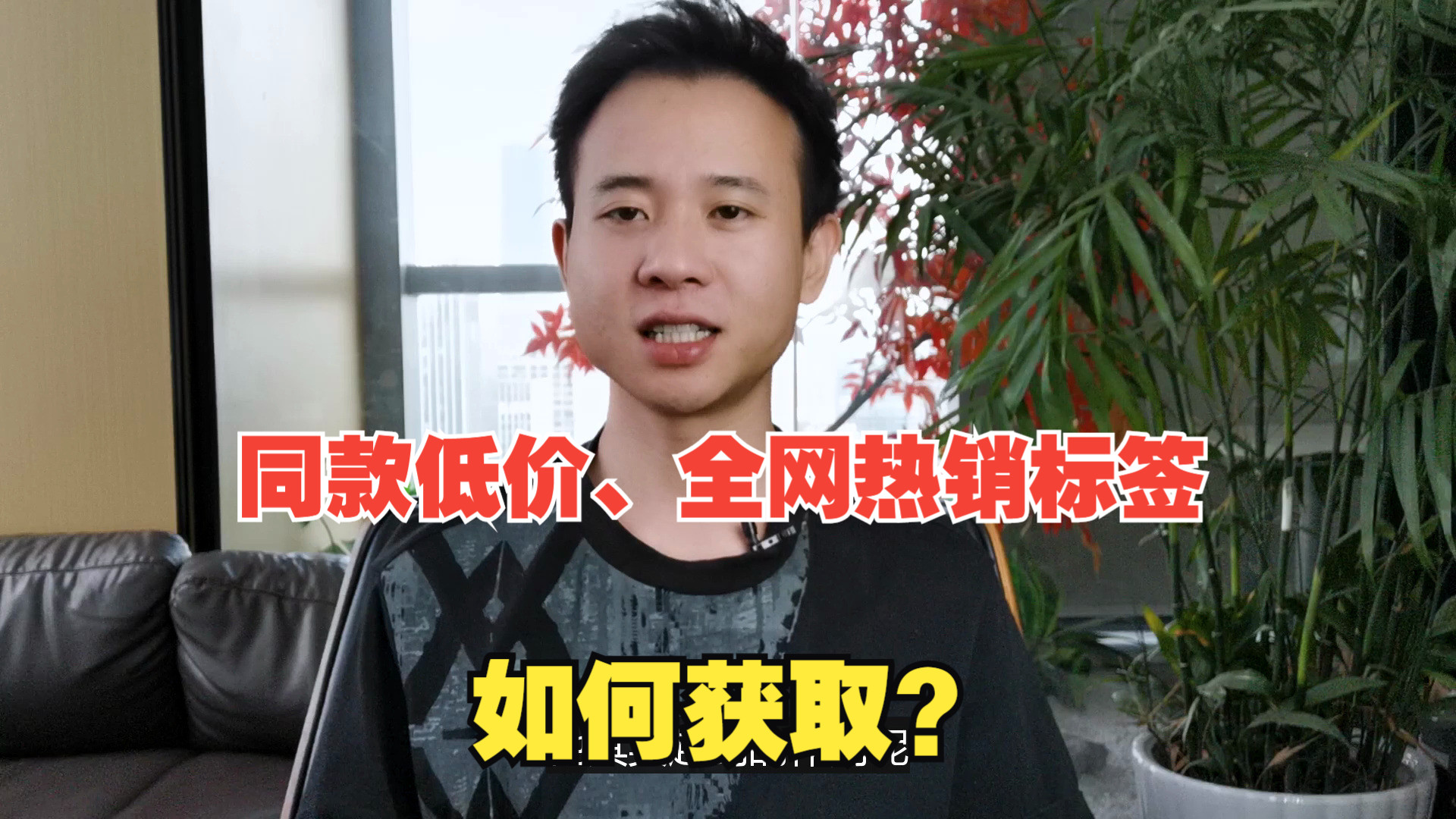 拼多多同款低价、全网热销标签,如何获取?