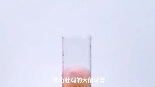 奇妙的小实验背后隐藏着怎样的科学真相,让孩子们重新认识世界的...