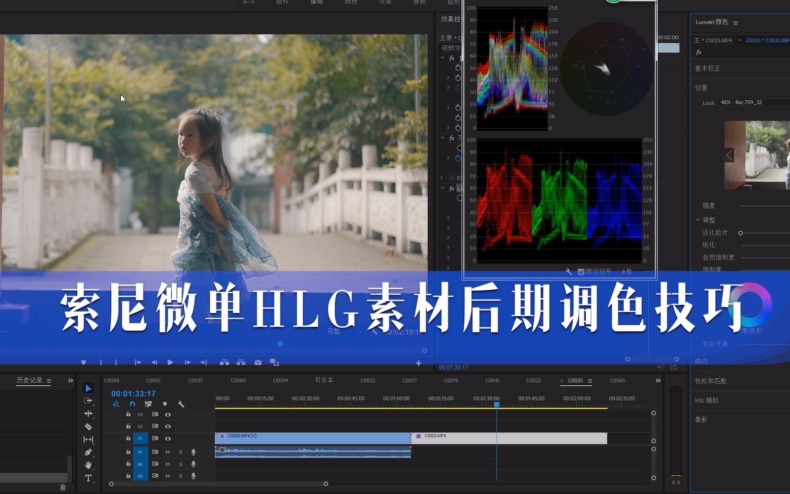 获得电影色彩质感-视频后期调色教程(针对索尼A7M3/A7R3微单HLG...