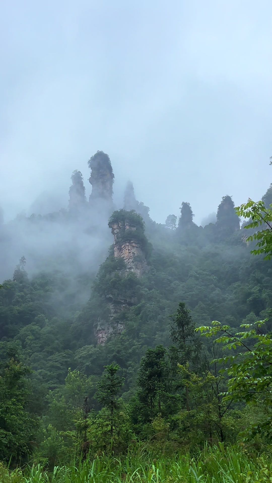 现实版的仙侠世界… 这山都是一根一根的,张家界真是一个神奇的地方 ...