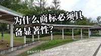 不得作为商标注册的标志有哪些?