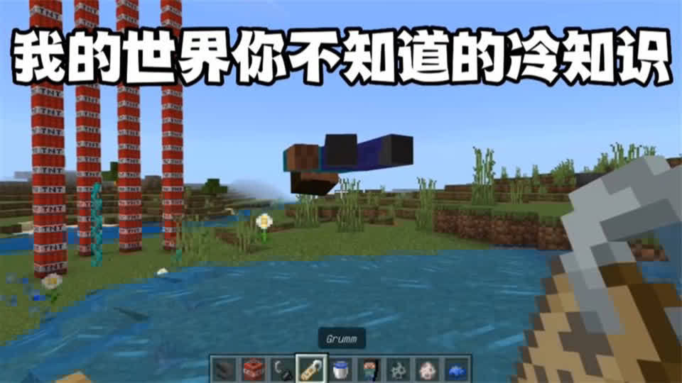 我的世界:你不知道的冷知识