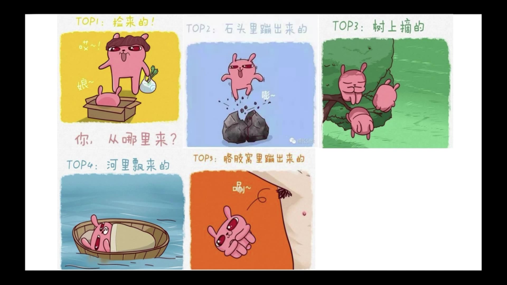 2.1减数分裂和受精作用-1