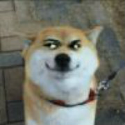 匪人安安 