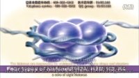 DNA乙酰化与表观遗传学