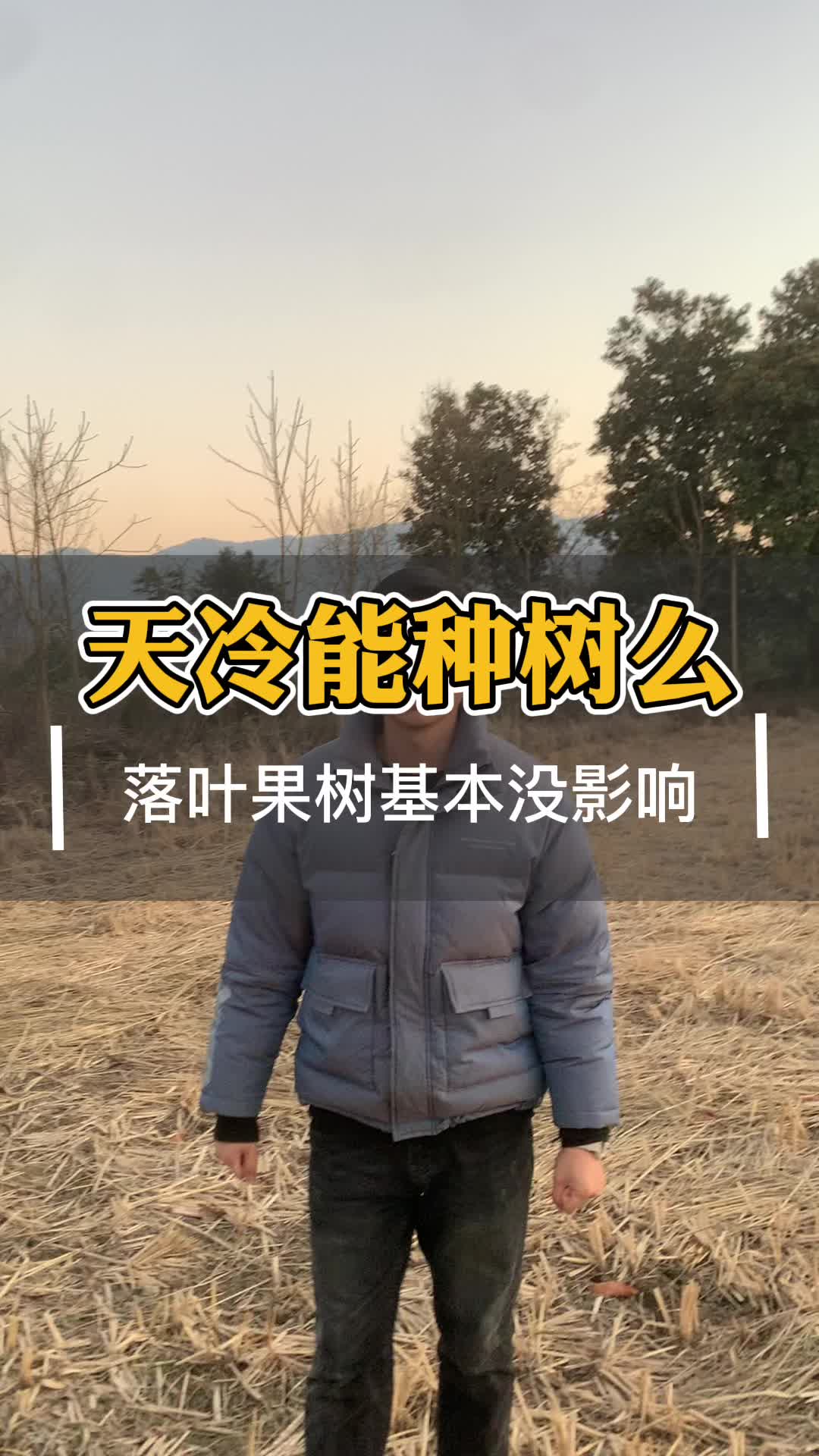 落叶果树和常绿果树最佳种植时间新山苗场