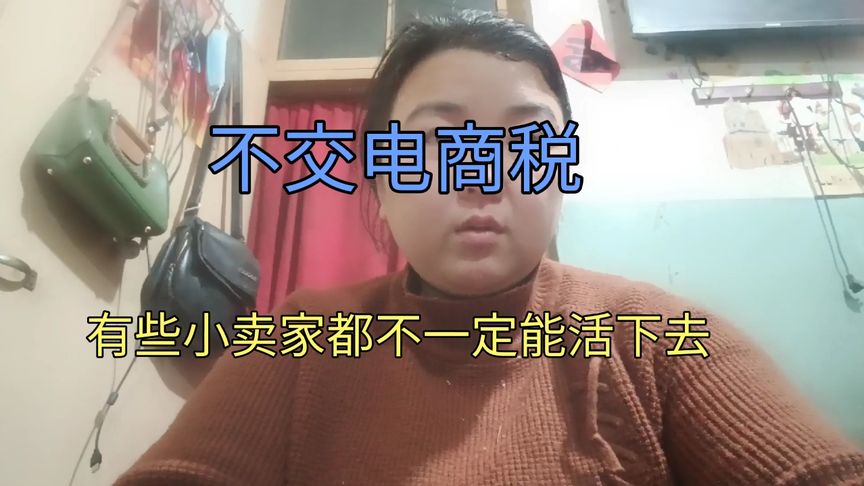 电商小卖家根本就不用担心电商税的问题,你那三瓜两枣,没人要
