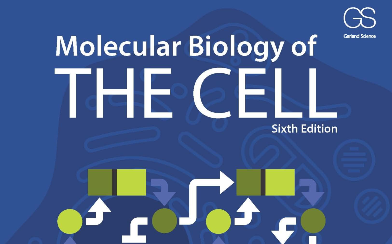 ...分子细胞生物学课程 2021 by William J Belden DNA的复制、修复、...