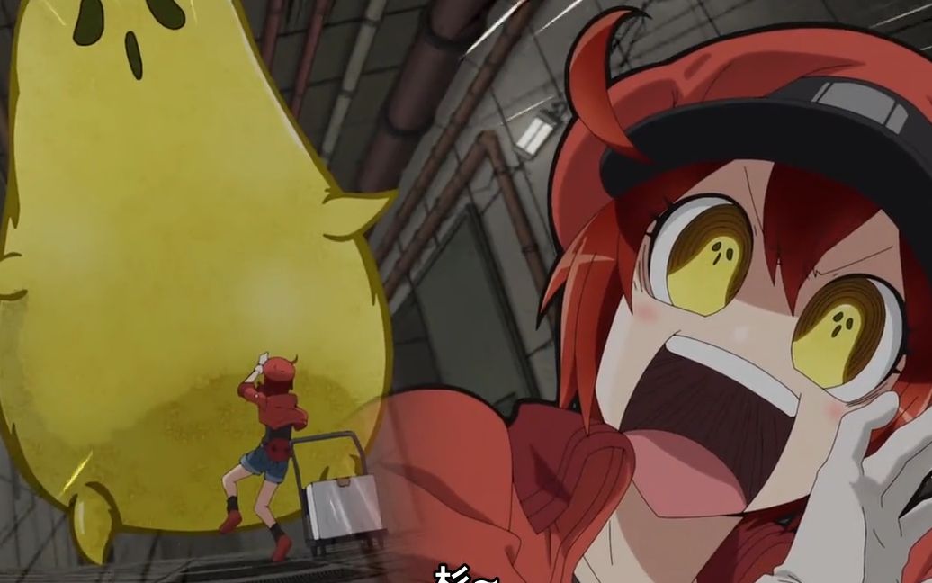 工作细胞:一个小小的过敏,不但让细胞内讧,还严重损坏了身体