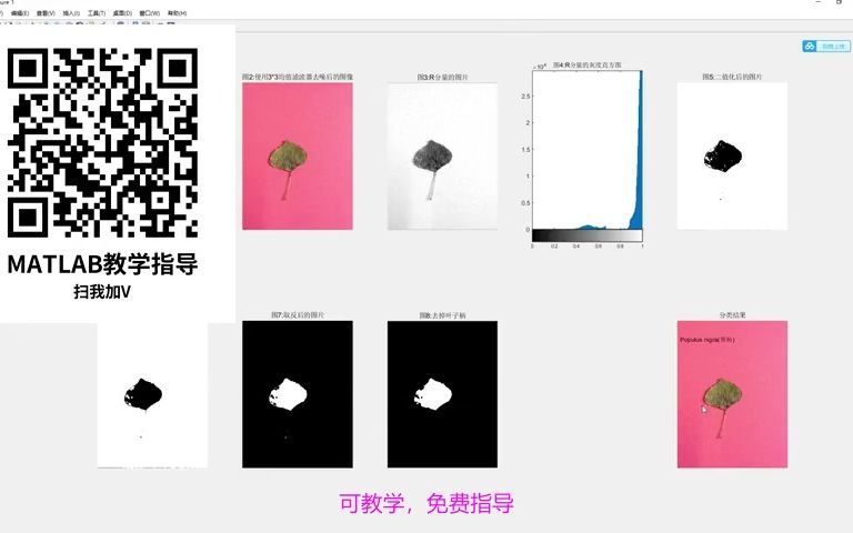 数字图像设计基于Matlab叶子识别(识别8种树叶)(教学)