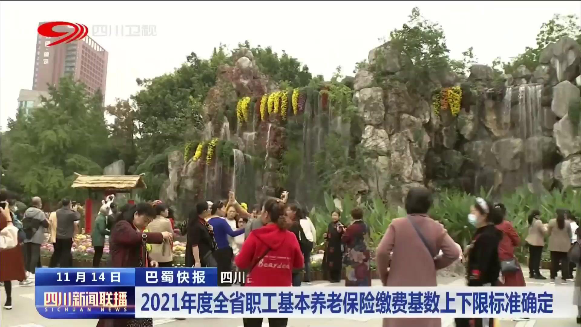 .养老保险缴费基数.