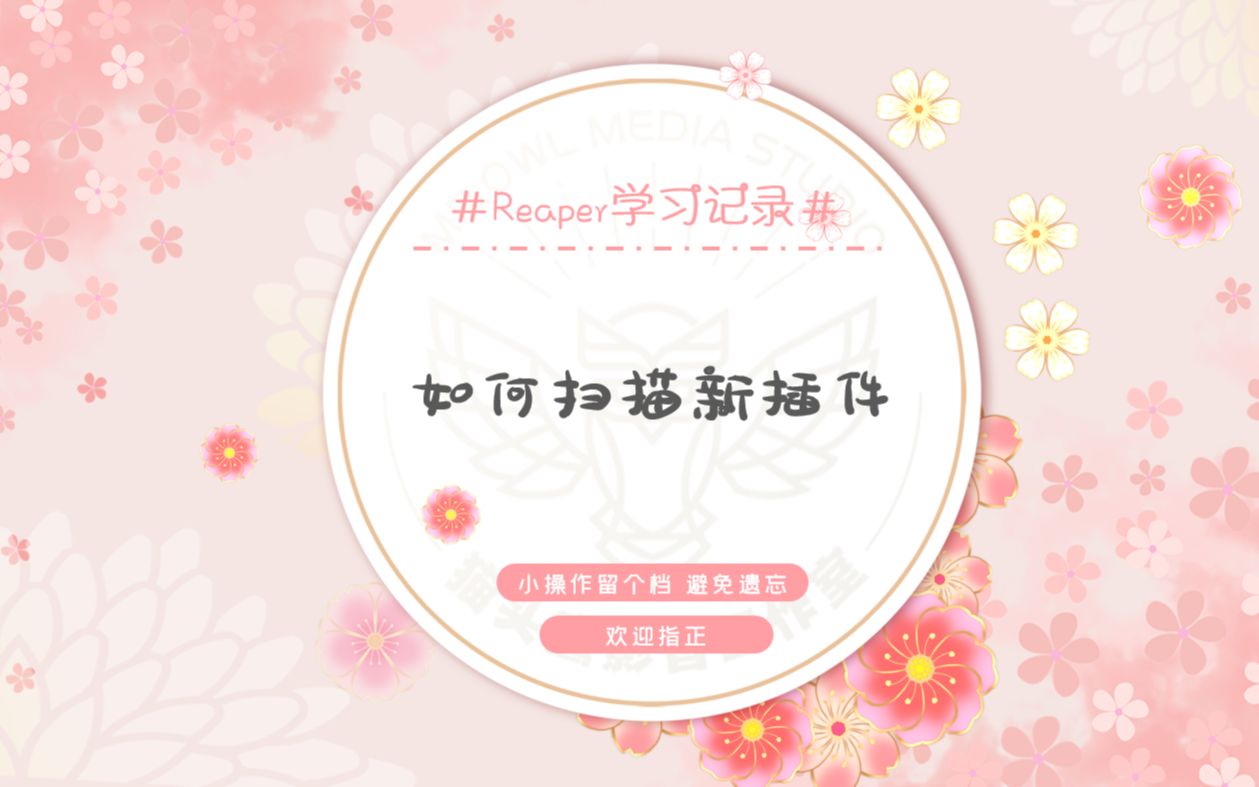 #Reaper# 如何扫描新插件