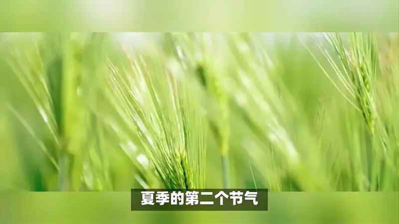 小满节气是什么意思附小满节气的由来