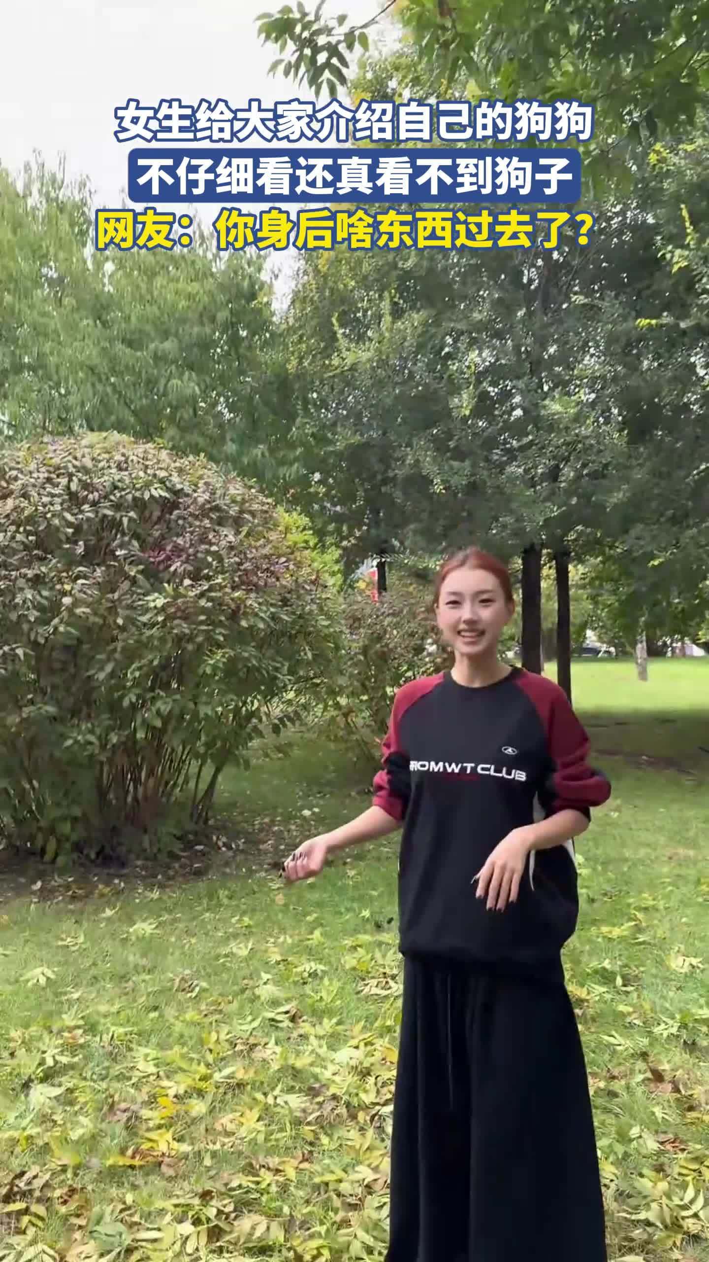 女生给大家介绍自己的狗狗,不仔细看还真看不到狗子