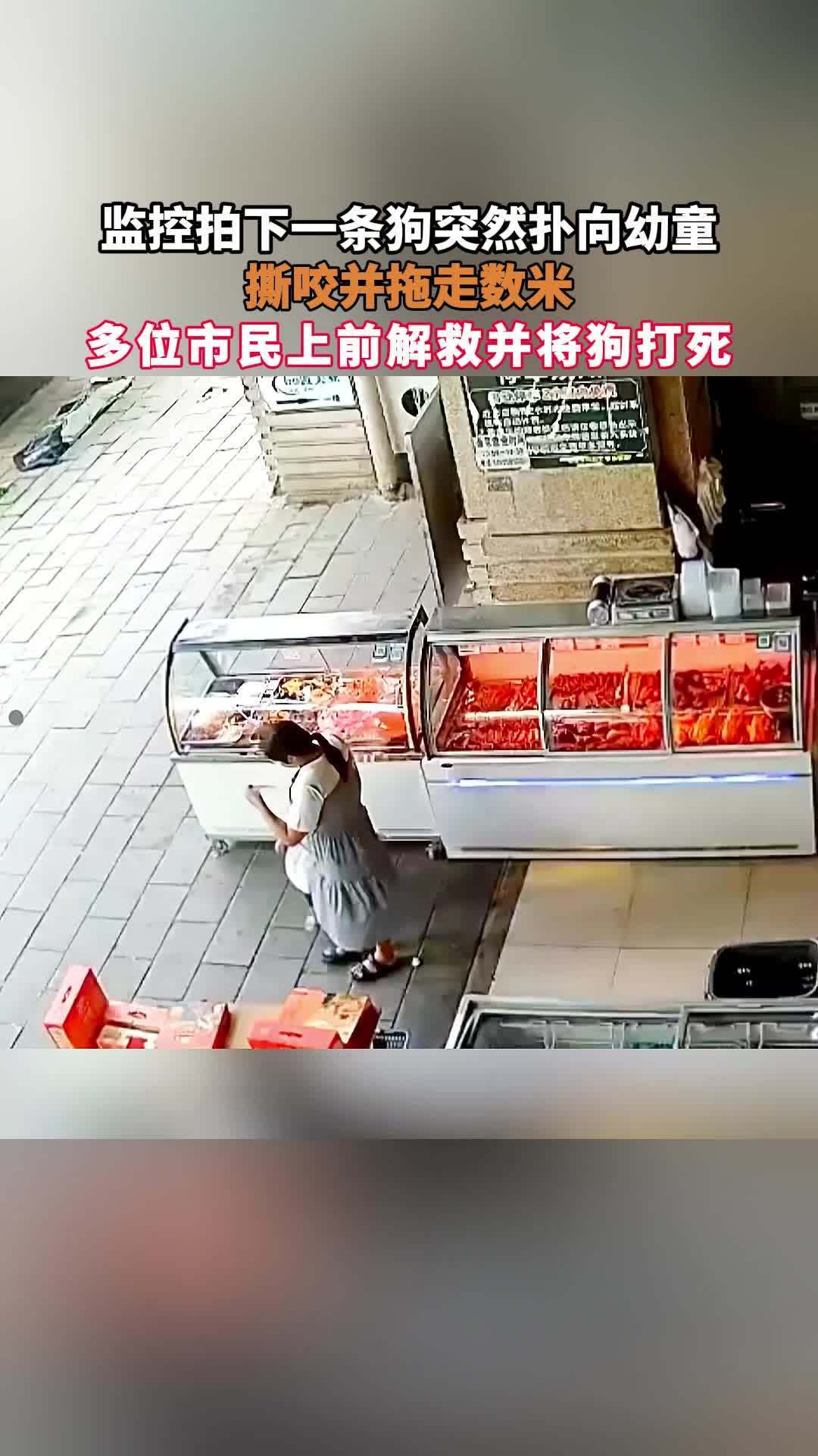 监控拍下狗突然扑向幼童 撕咬并拖走数米 多位市民解救将狗打死
