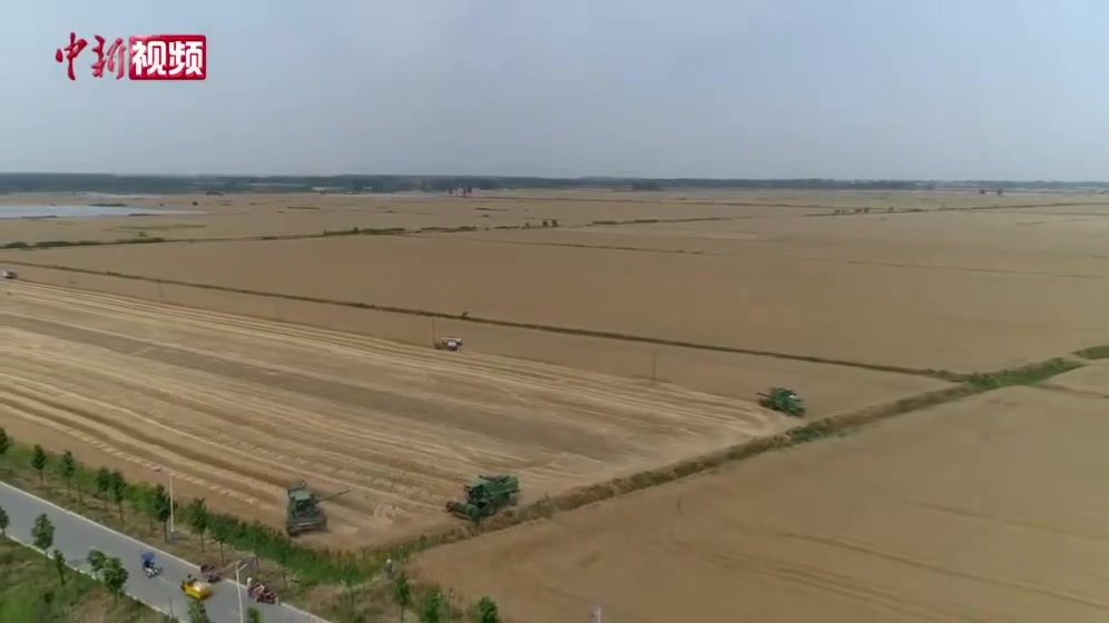 农业农村部谈高标准农田建设:为何建?怎么建?