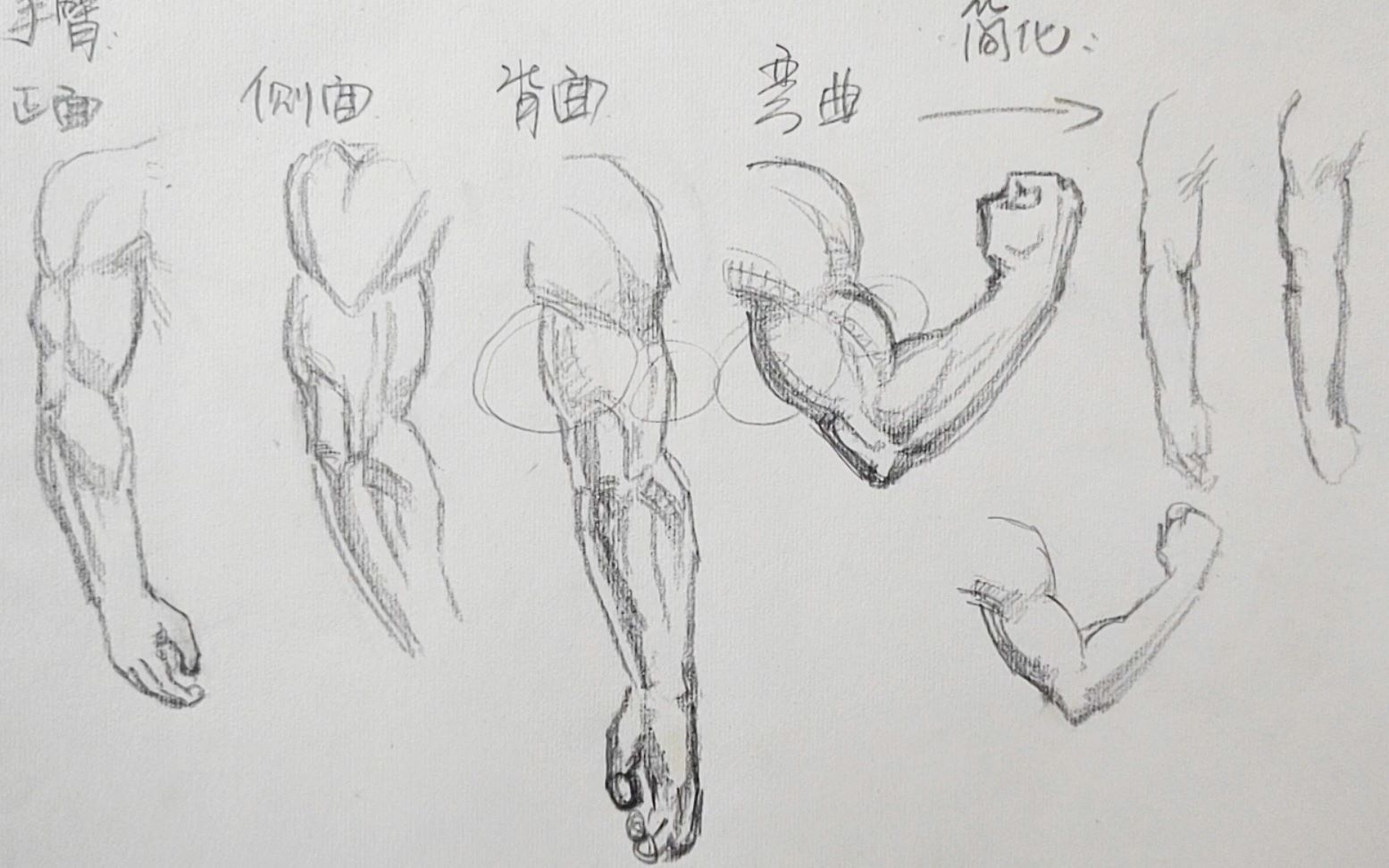我是怎样画漫画的——肌肉的画法