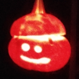 奇奇怪怪的懒人 