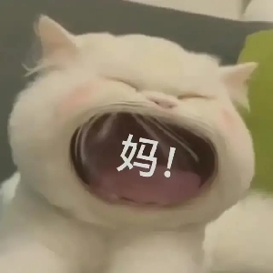 威廉姆斯的猫 