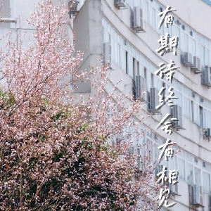 医站成硕 