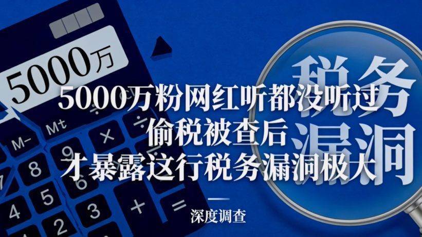 5000万粉网红听都没听过 偷税被查后才发现 税务漏洞挺大的