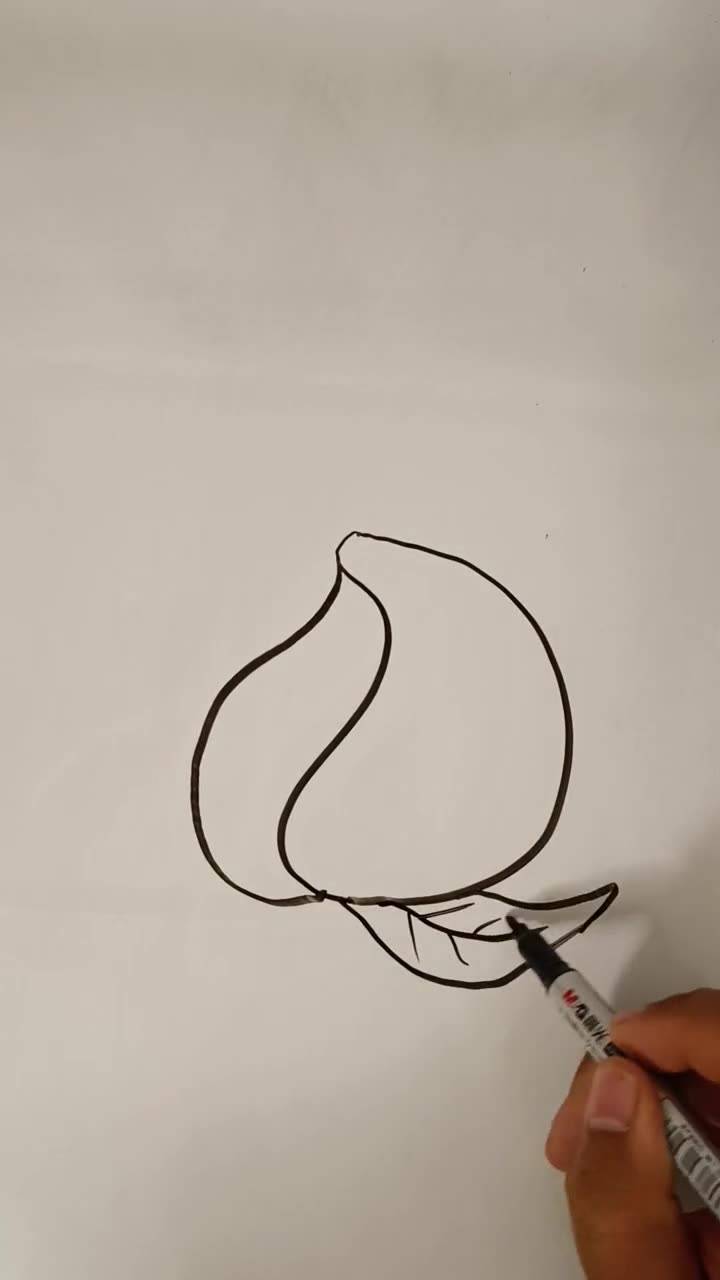 简笔画教程——桃子