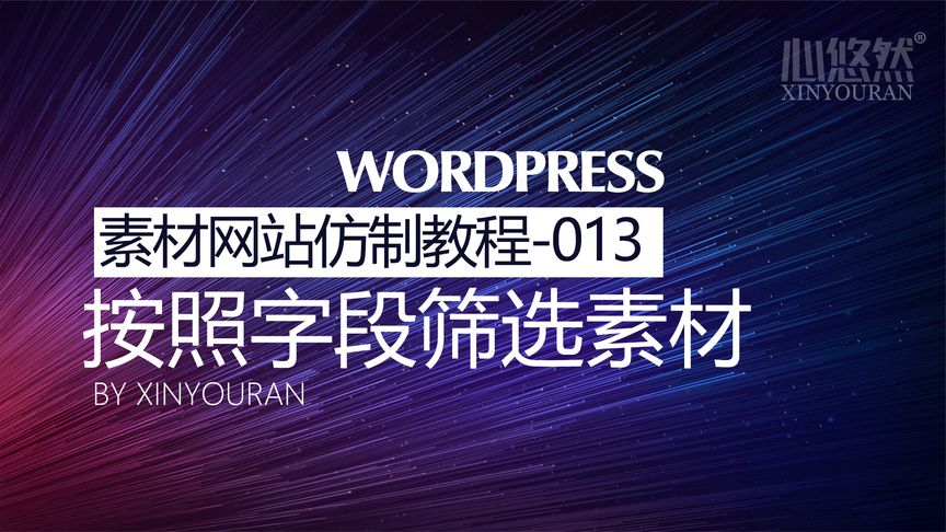 WordPress虚拟素材仿站实例教程-[013]按照字段筛选素材