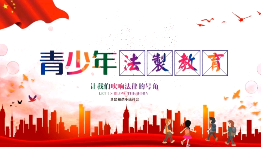 宪法日青少年法制教育PPT课件 成年法律教育-271