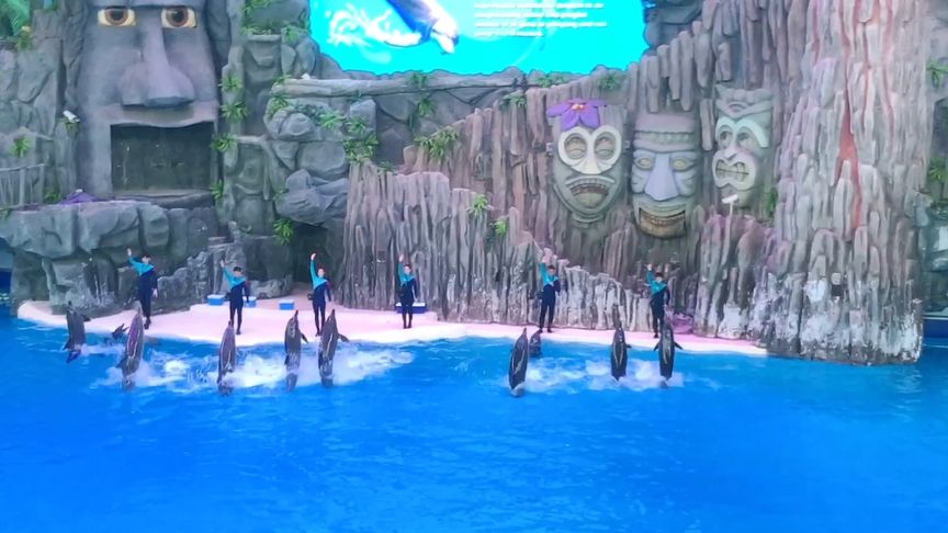 五一假期去珠海长隆海洋王国看海豚表演,又是开心的一天!
