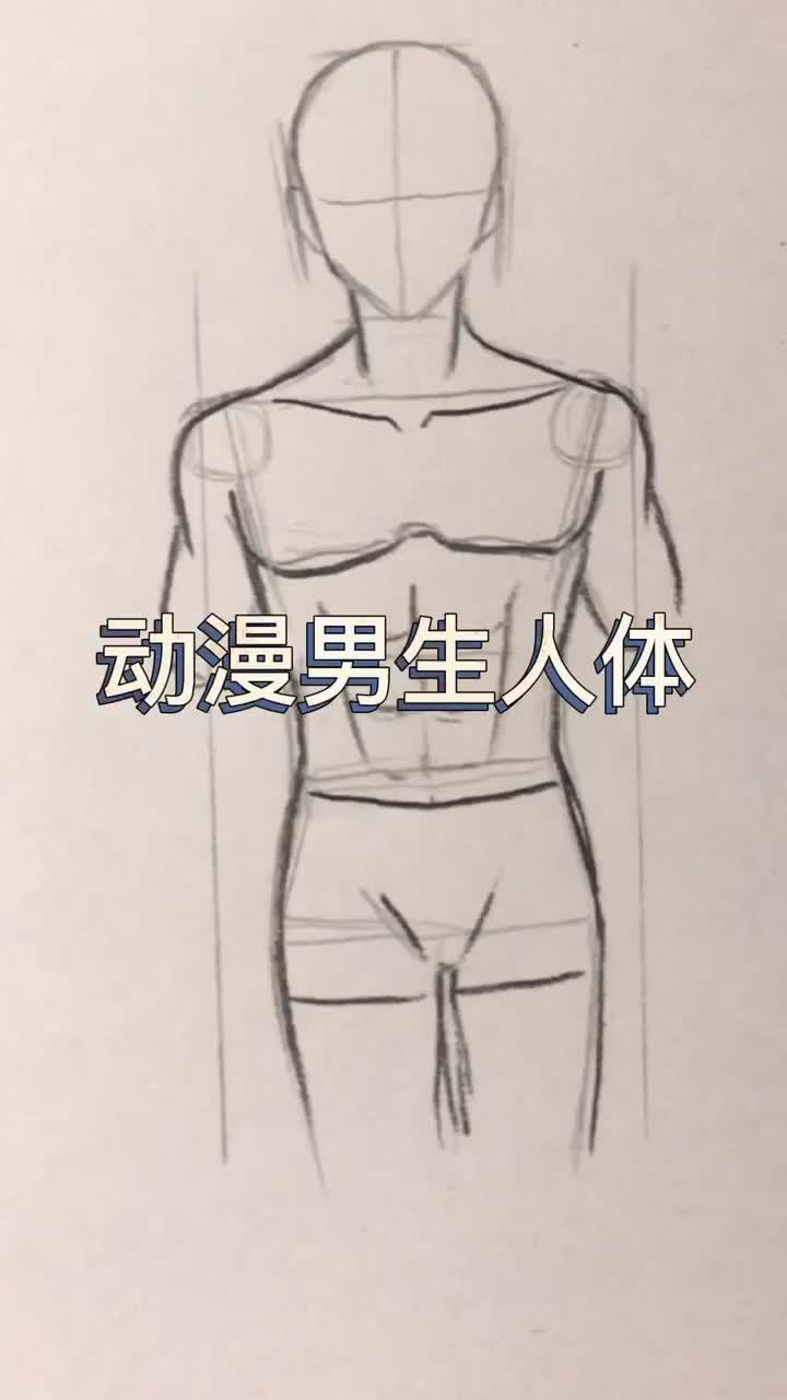 动漫男生人体结构比例#绘画教程#手绘#动漫