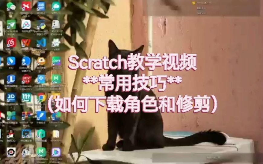 scratch教学视频-常用技巧-如何下载角色和修剪