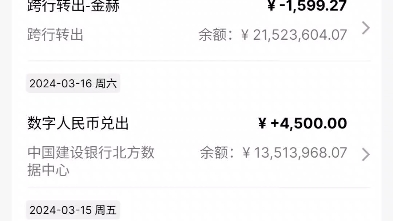 娱乐神器 手机银行模拟器 微商专用 建设银行模拟器 辛巴同款 定制...