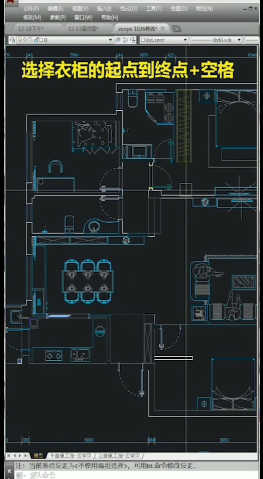 想学啊,我教你啊,30秒CAD插件快速制作衣柜。