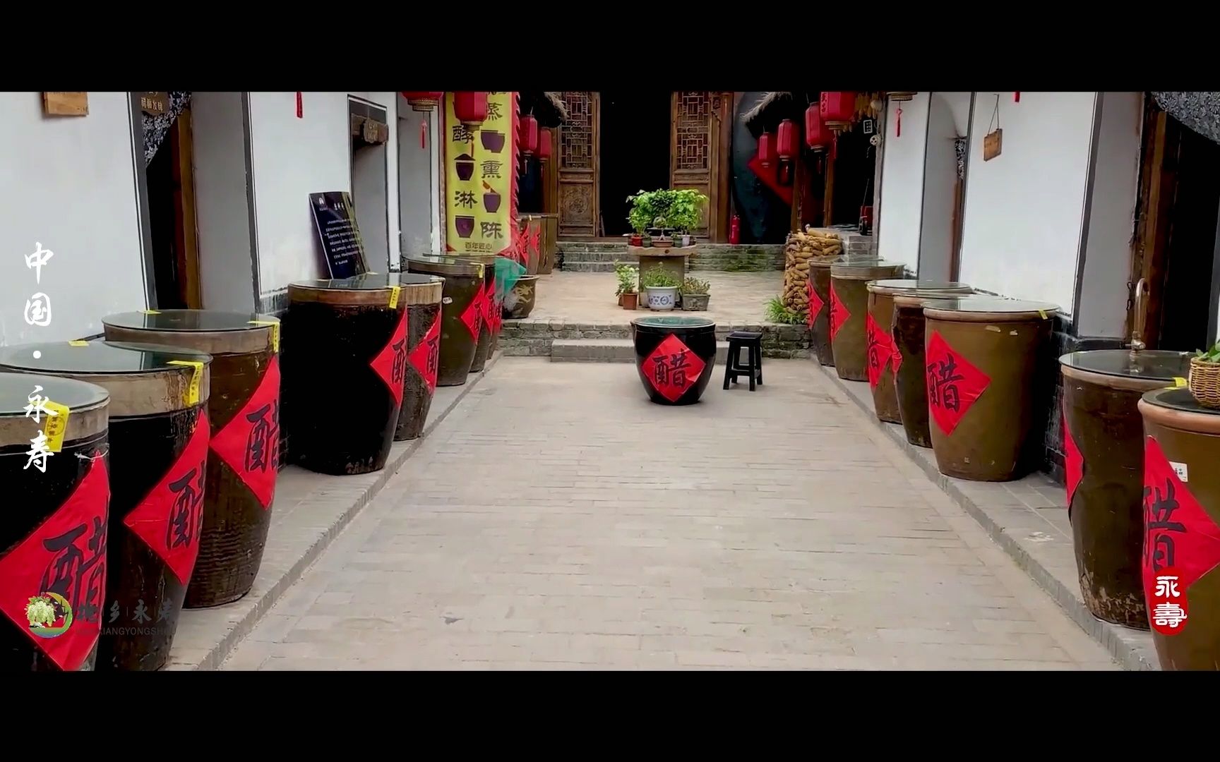 永寿沙棘醋补充人体所需的200多种微量元素