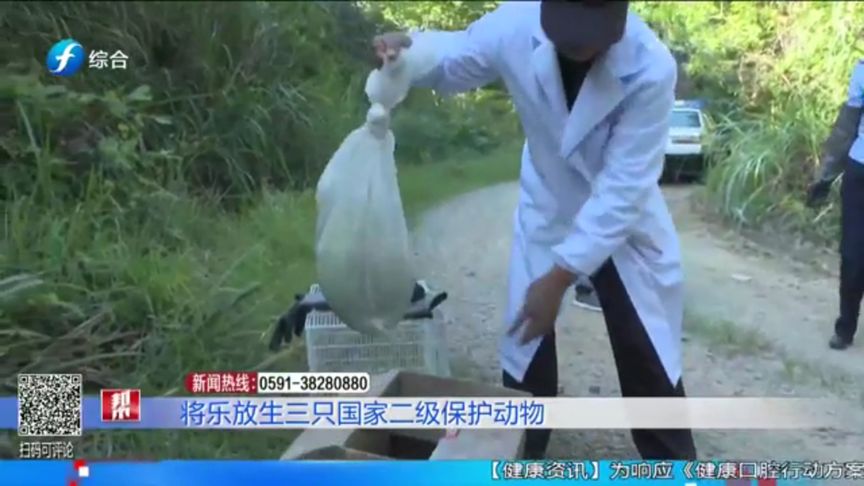 三明开展保护野生动物专项行动,加大宣传力度,增强全民保护意识